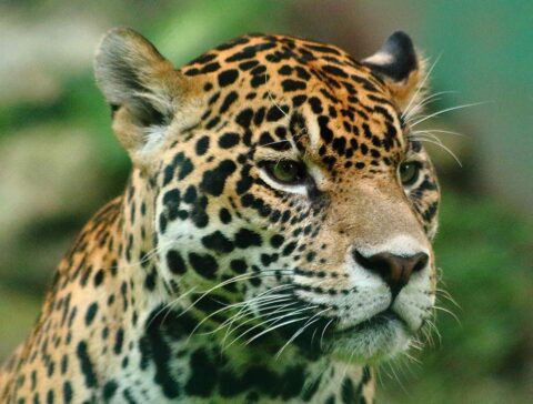 ProCAT Conservation | Water and Land Conservation Project