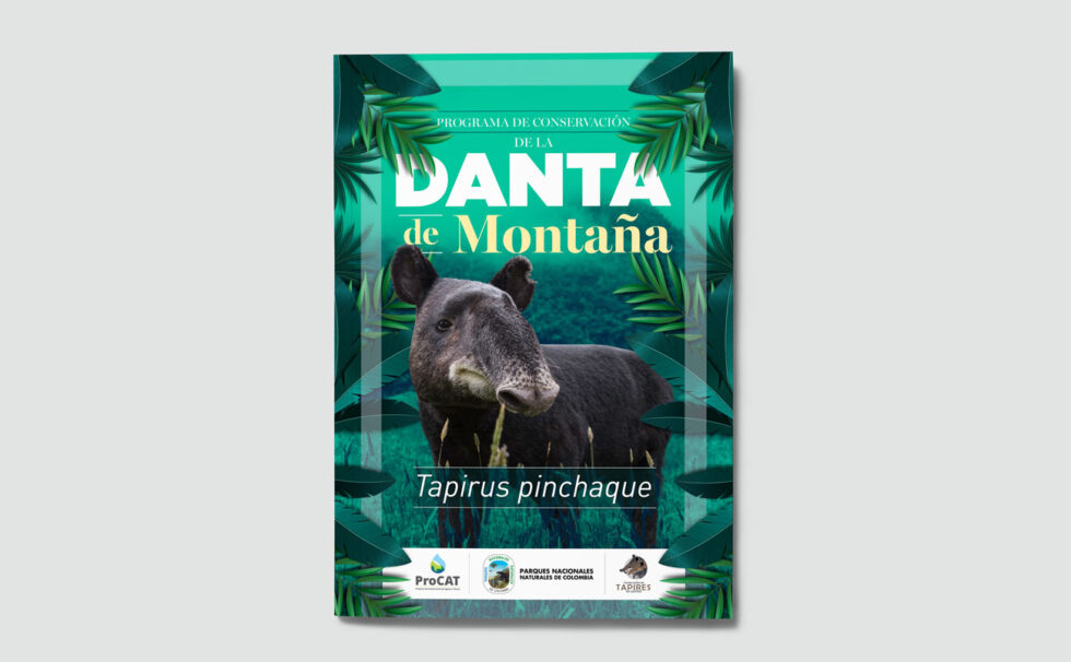 Programa de conservación de la Danta de Montaña | ProCAT Conservation